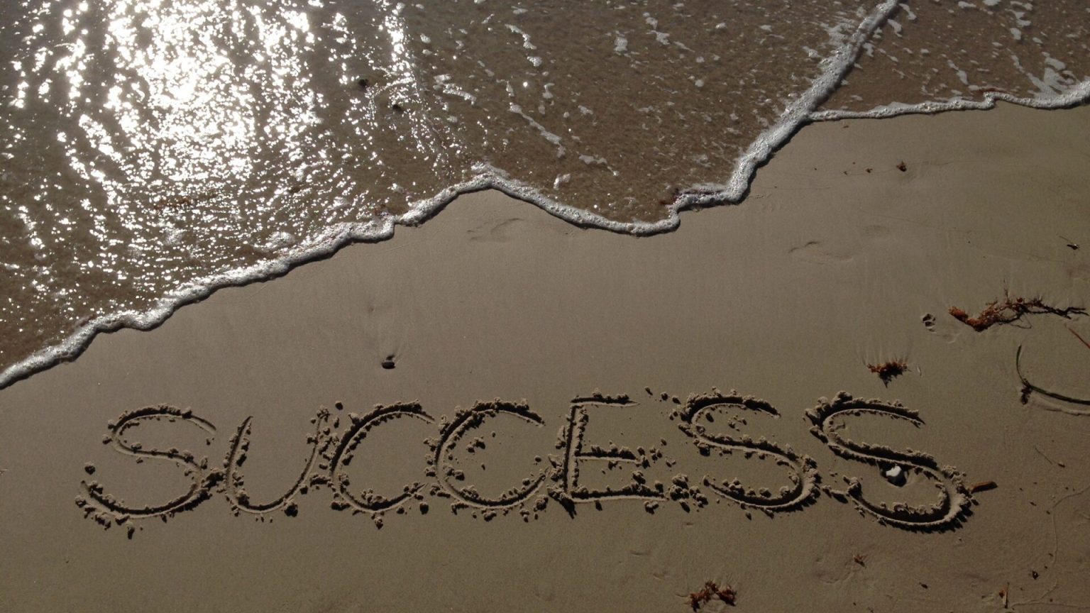 How To Excel in a New Role - Barden